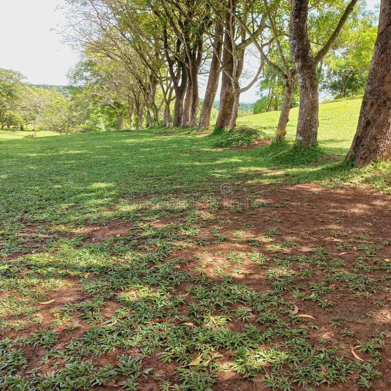 Taman Permana& X27;s View Stock Photo - Image of nature, green: 263066368