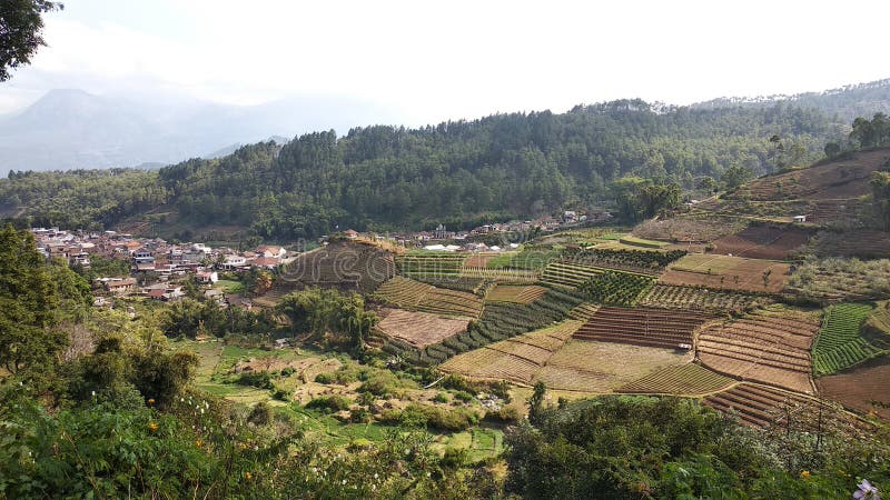 Taman Selecta Malang stock photo. Image of suciati, selecta - 136922474