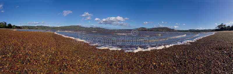 The Tamar Valley River Tavy a Area of Outstanding Natural Beauty with a ...