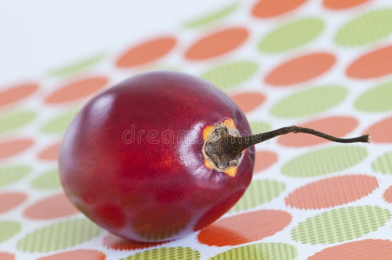 Tamarillo stock image. Image of graphic, isolated, pattern - 10638405