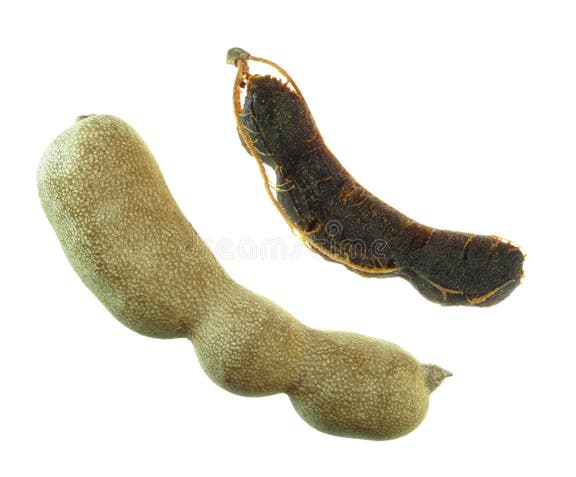 Tamarind stock image. Image of inside, fruit, ingredient - 10855283
