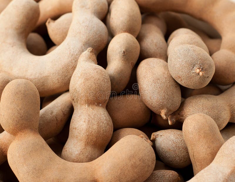 Tamarind stock photo. Image of close, asia, chinese, open - 22661784
