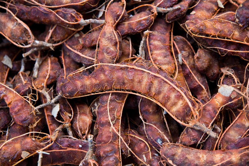 Tamarind. imagem de stock. Imagem de mercado, suculento - 23736405