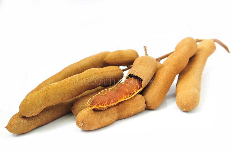Tamarind fruit stock photo. Image of fruit, food, thai - 10787422