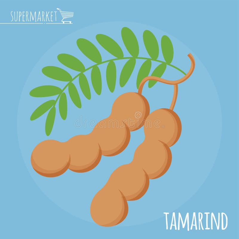 Tamarind Flat Design Vector Icon Stock Vector - Illustration of leaf ...