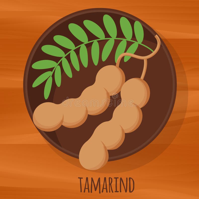 Tamarind Icon stock illustration. Illustration of dinner - 11821661