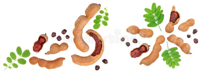 Tamarind Fruit with Leaf and Seed Isolated on White Background with ...