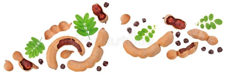 Tamarind Fruit with Seed Isolated on White Background with Copy Space ...