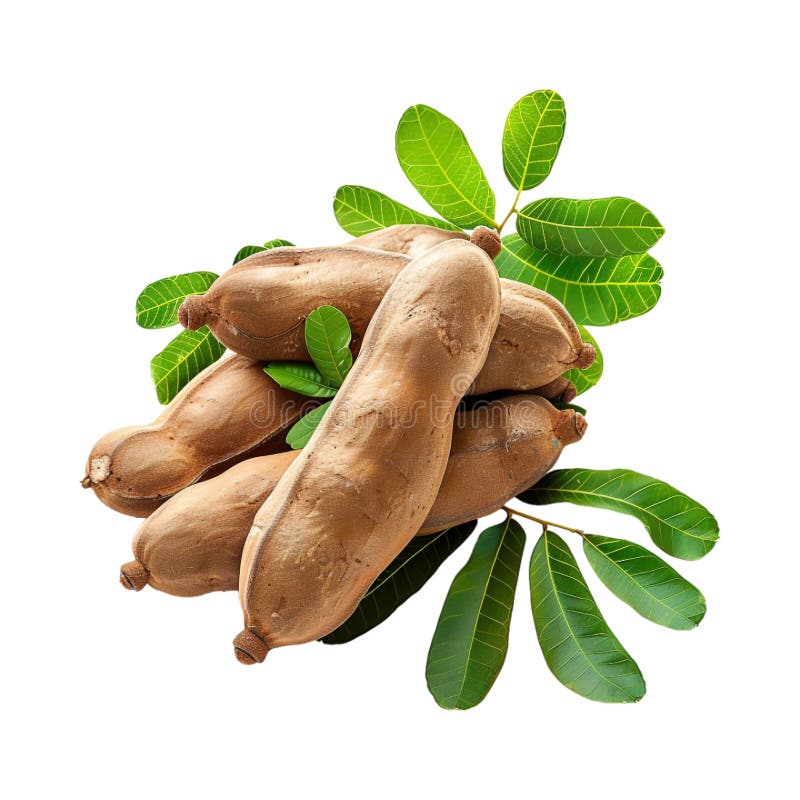 Tamarind Fruit on Transparent Background - Ai Generated Stock ...