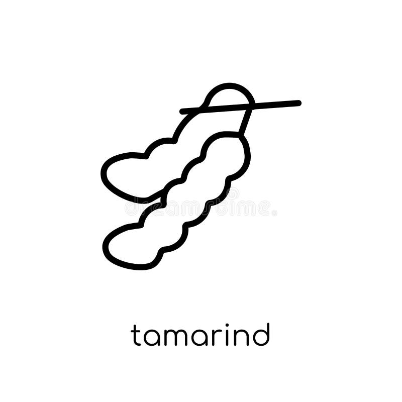 Tamarind Stock Illustrations – 881 Tamarind Stock Illustrations ...