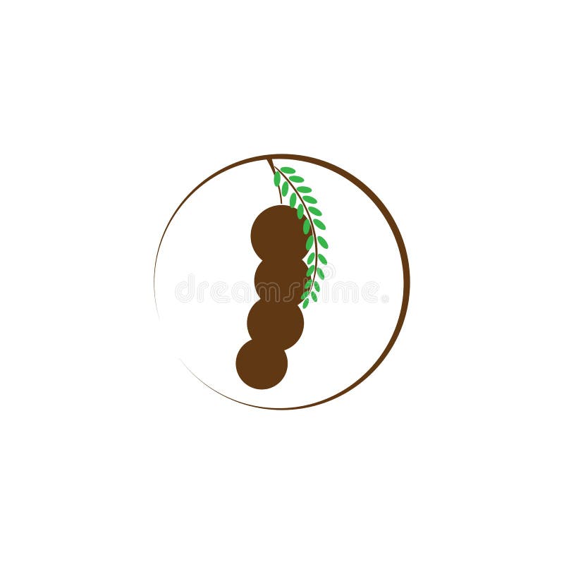 Tamarind icon logo vector stock vector. Illustration of fruit - 230966968