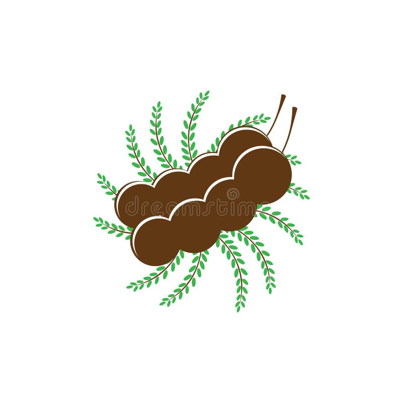 Tamarind icon logo vector stock vector. Illustration of ingredient ...