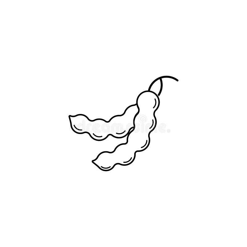 Tamarind icon stock vector. Illustration of vegetarian - 251104551 Tamarind icon stock vector. Illustration of vegetarian - 251104551