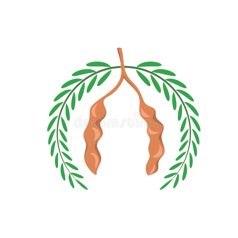 Tamarind Icon Vector Element Concept Design Template Stock Vector ...