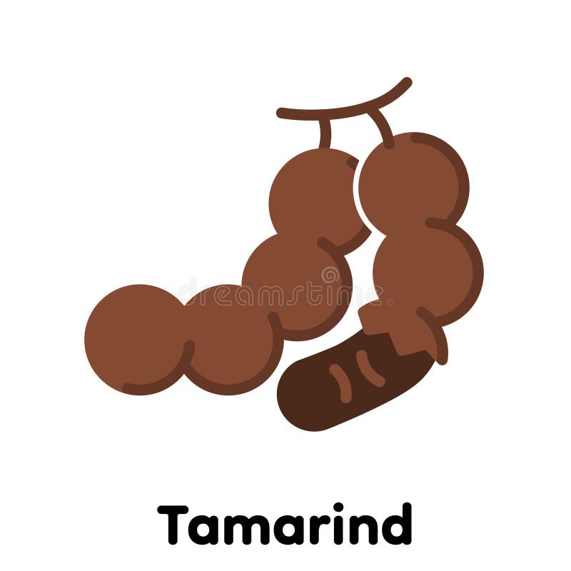 Tamarind Icon, Vector, Illustration. Stock Vector - Illustration of ...