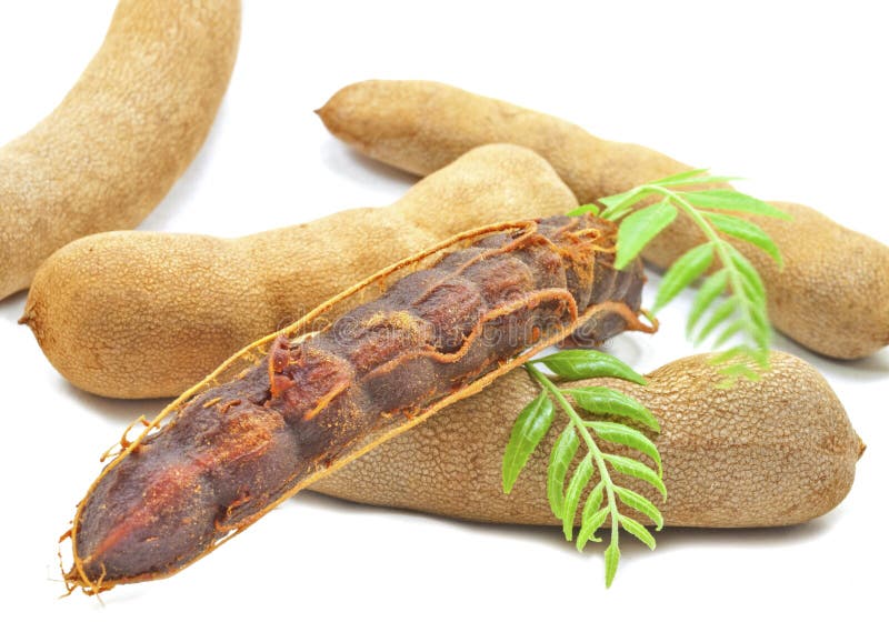 Tamarind stock photo. Image of symmetry, textured, sour - 42608266