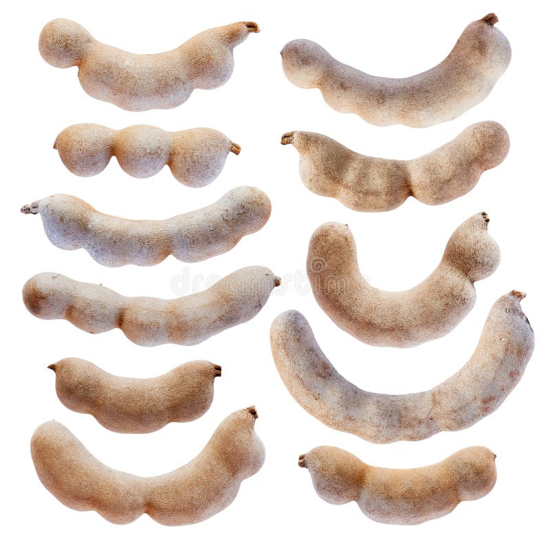 Tamarind Isolated on White Background. Stock Image - Image of healthy ...
