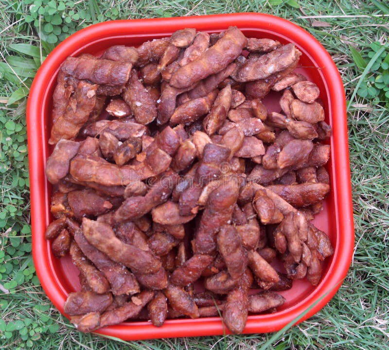 De Shell Tamarind Seed Stock Photos - Free & Royalty-Free Stock Photos ...