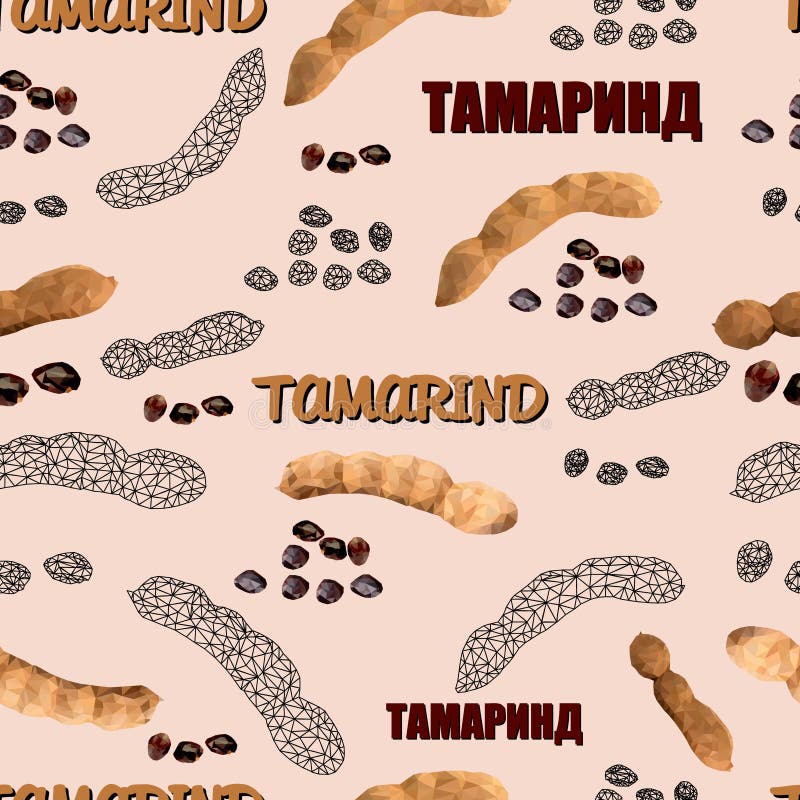 Tamarind pattern stock illustration. Illustration of nutrition - 222714807