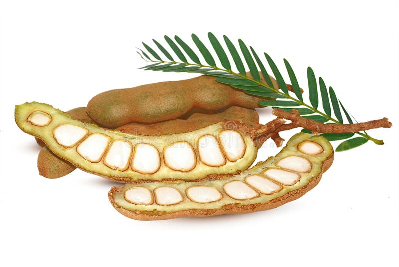 Tamarind Pod on White Background Stock Photo - Image of eating ...