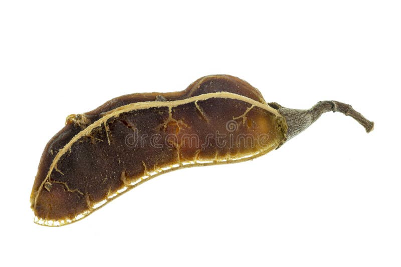 Tamarind Pod-like Raw Fruit Stock Image - Image of native, africa ...