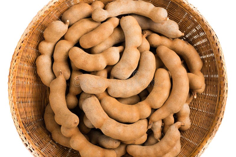 The tamarind pods ripen stock photo. Image of group, ripen - 68092232