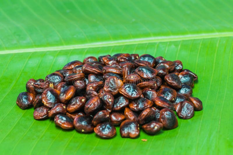 Tamarind Seed Oil, Ayurvedic Oil & Cosmetic Oils Closeup and ...