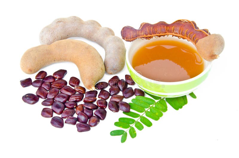 Tamarind stock image. Image of botany, brown, natural - 34680067