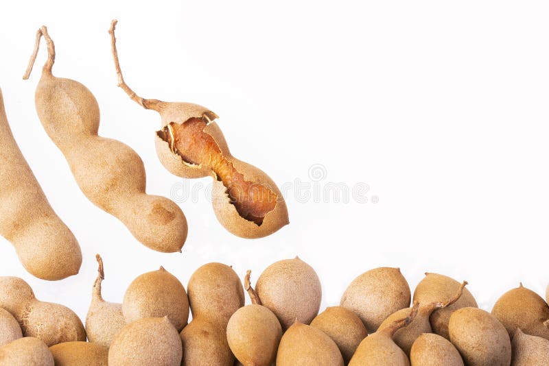 Tamarind Tropical Fruit - Tamarindus Indica. White Background Stock ...