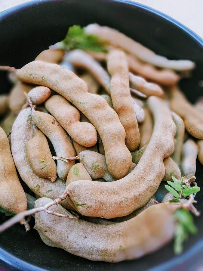 Tamarinde stockbild. Bild von behälter, riesig, sauer - 84669191