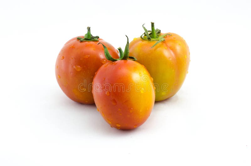 Tamatos vegetables stock photo. Image of tamatos, white - 37153874