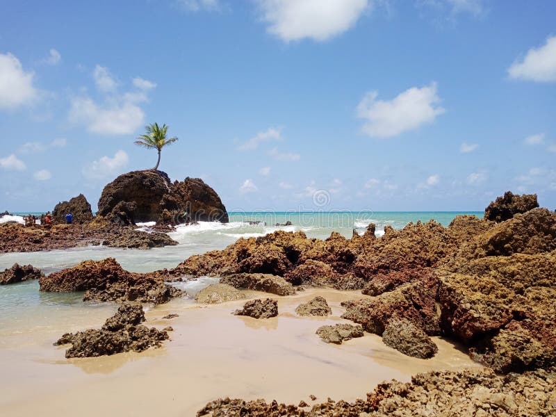 Tambaba Beach in Brazil stock photo. Image of tropical - 19057044