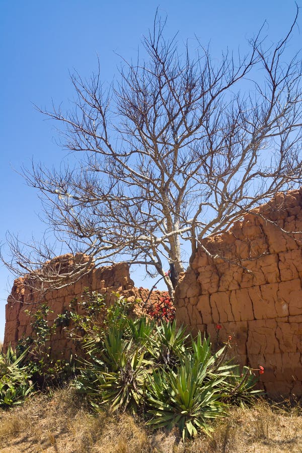 Tamboo stock image. Image of madagascar, rural, ancient - 23501185