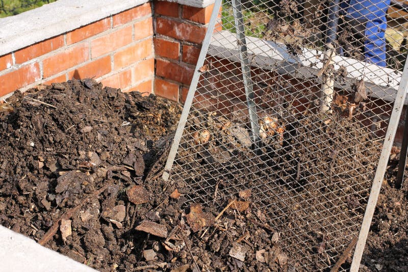 Tamizar La Tierra Compostada Imagen de archivo - Imagen de alimento ...