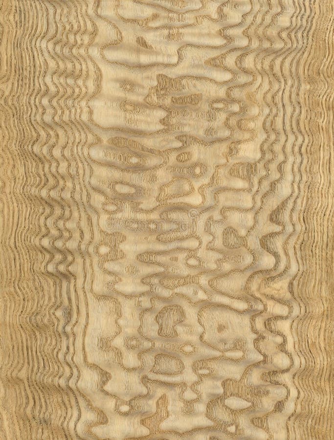 Tamo wood texture stock photo. Image of wood, texure - 15547848
