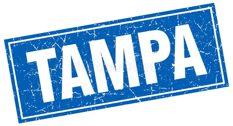 Tampa stamp stock vector. Illustration of white, tampa - 125219192