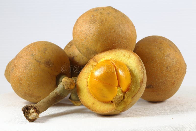 Tampoi Fruit stock image. Image of white, color, baccaurea - 53755733