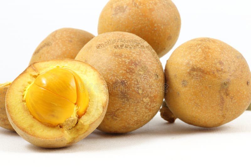 Tampoi Fruit stock photo. Image of baccaurea, color, white - 53755960