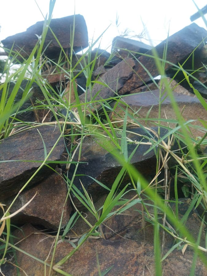 Tampol Stone Stock Photos - Free & Royalty-Free Stock Photos from ...