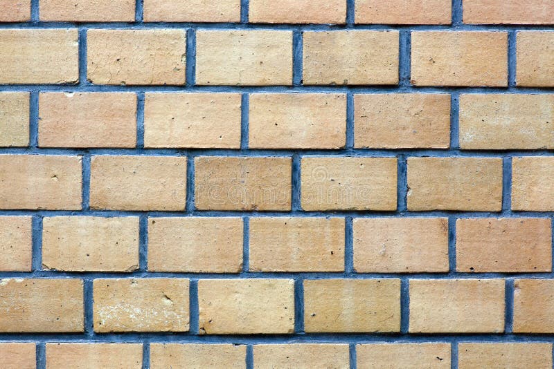 Tan bricks in a wall stock photo. Image of color, colour - 11559224