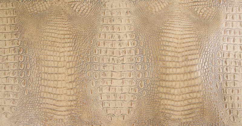 Tan Colored Embossed Gator Back Leather Texture Stock Photo - Image of ...