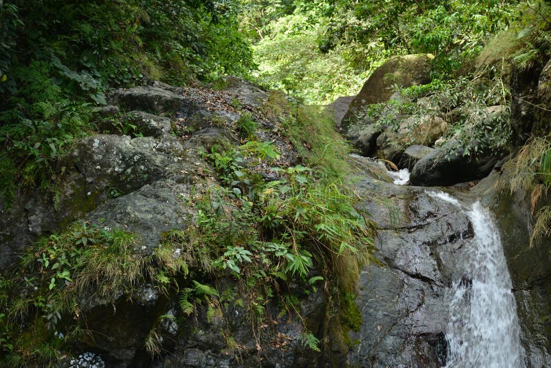 Tanawan Water Falls with Big Rocks and Green Leaves Stock Image - Image ...