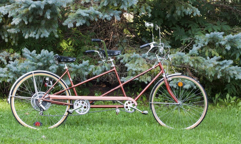 Tandem bicycle stock image. Image of pedal, tandem, spokes - 25966491