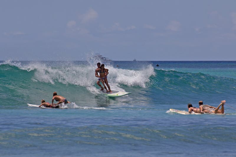 Tandem Surf stock image. Image of surfing, golden, surf - 74558753