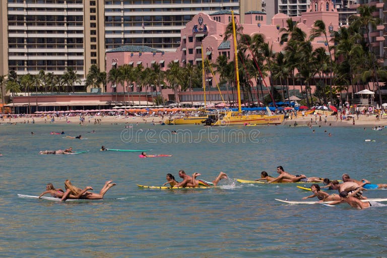 Duke Teams Background Stock Photos - Free & Royalty-Free Stock Photos ...