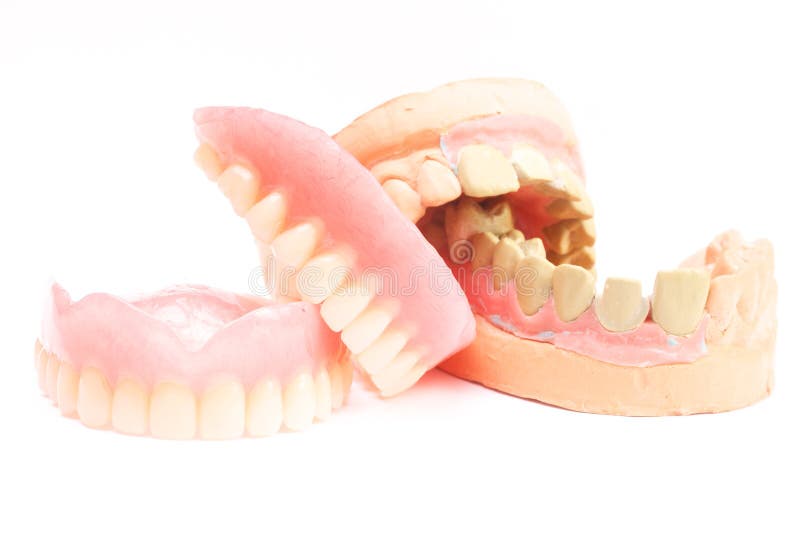 Tandprotes som isoleras på vit royaltyfri bild