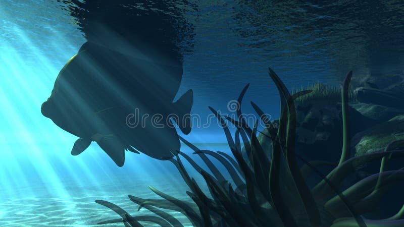 Tang Picture. Image: 8142633