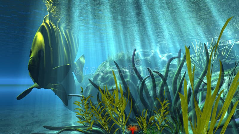 Tang stock illustration. Illustration of nature, pacific - 8410477