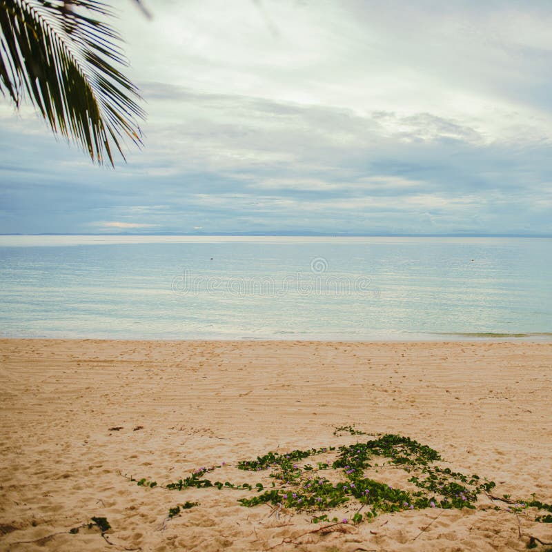 Tangalooma Island Beach in Moreton Bay. Stock Image - Image of scenic ...