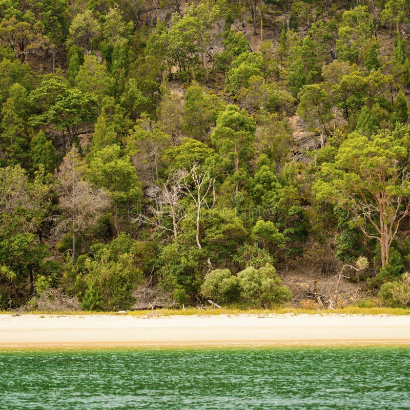 Tangalooma Island Beach in Moreton Bay. Stock Image - Image of ...